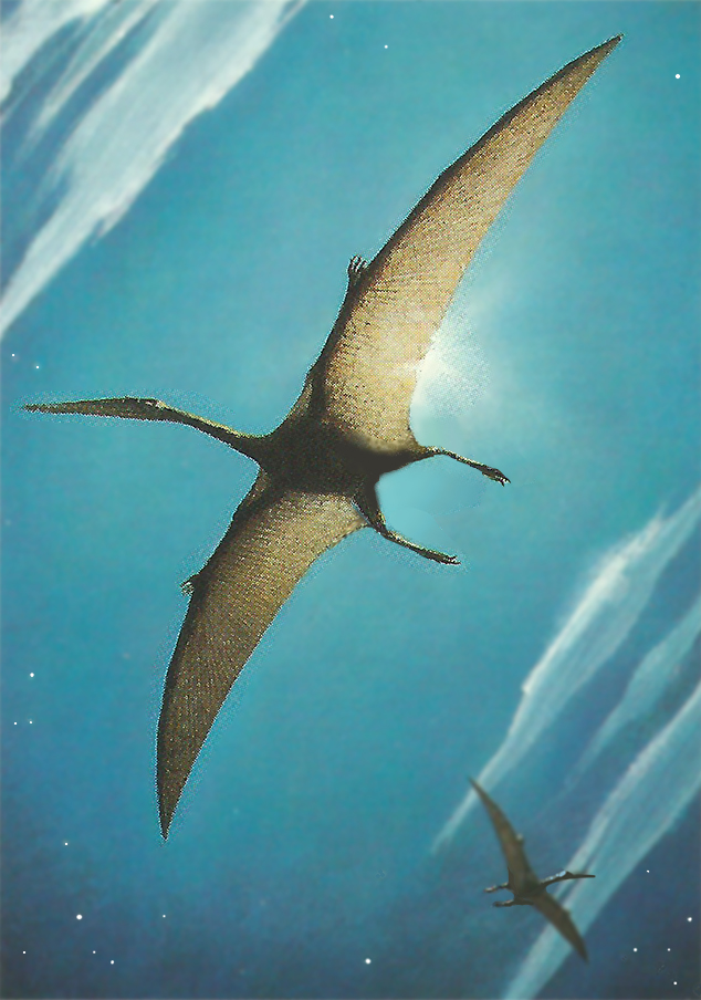 Quetzalcoatlus